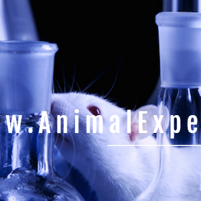 Animal Experiments Info - Antidote Europe